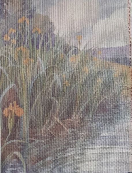 Riverside Reeds Designer Printed AIDA Fabric. Canvas for embroidery wi ...