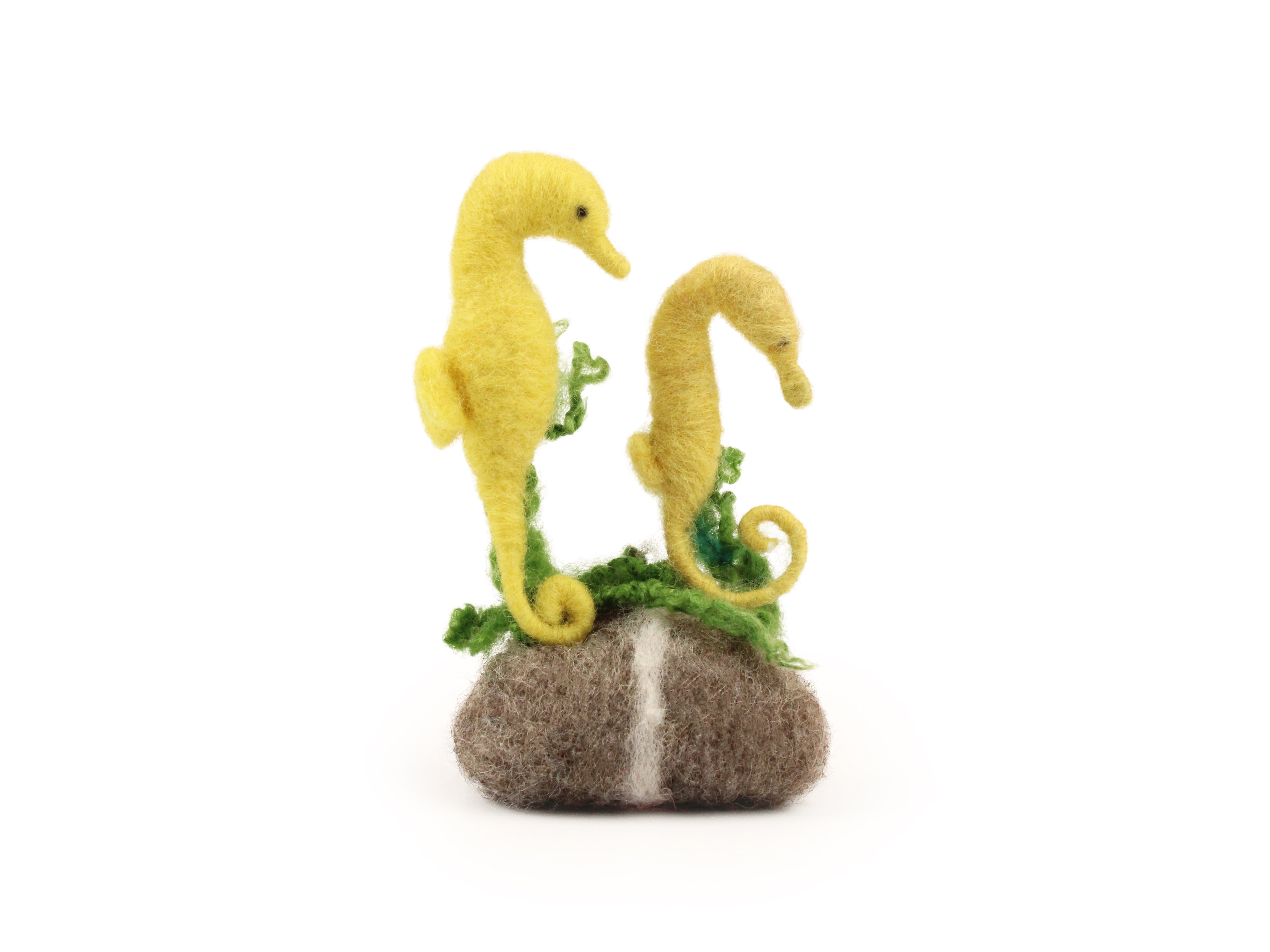 Felting Kit - Seahorse Needle Felting Kit – Wizardi