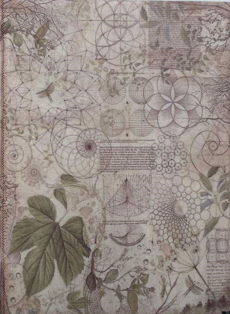 Botanical Relic Designer Printed AIDA Fabric. Canvas for embroidery wi ...
